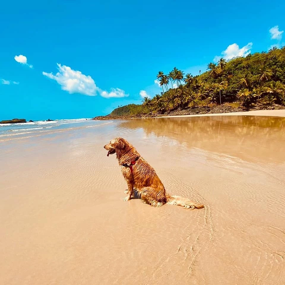 Itacaré: conheça as principais atrações e belezas naturais desse paraíso
