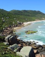 Praia da Galheta: tudo sobre esse paraíso em Florianópolis