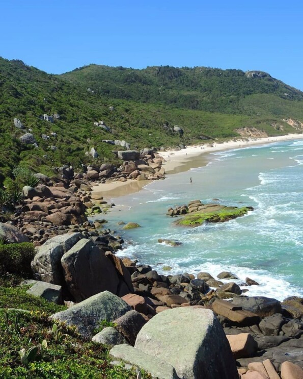 Praia da Galheta: tudo sobre esse paraíso em Florianópolis