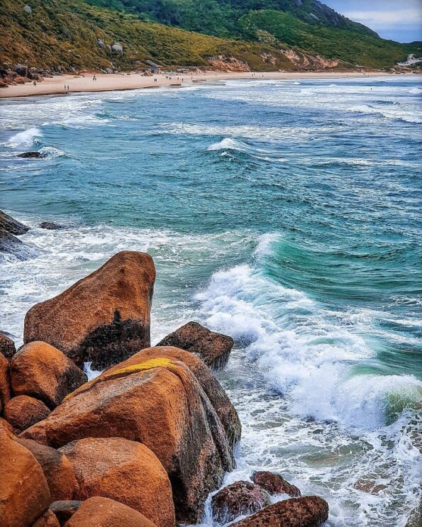 Praia da Galheta: tudo sobre esse paraíso em Florianópolis