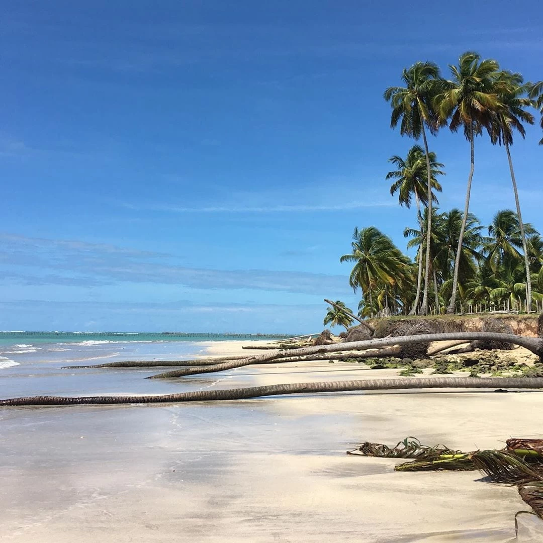 Praia de Ipioca: mar paradisíaco, beleza e calmaria em Maceió