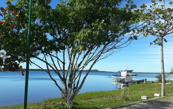 Barra do Sul: o que fazer na cidade dos encantos em Santa Catarina