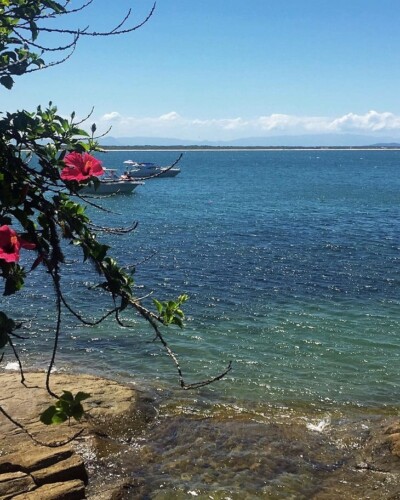 Barra do Sul: o que fazer na cidade dos encantos em Santa Catarina