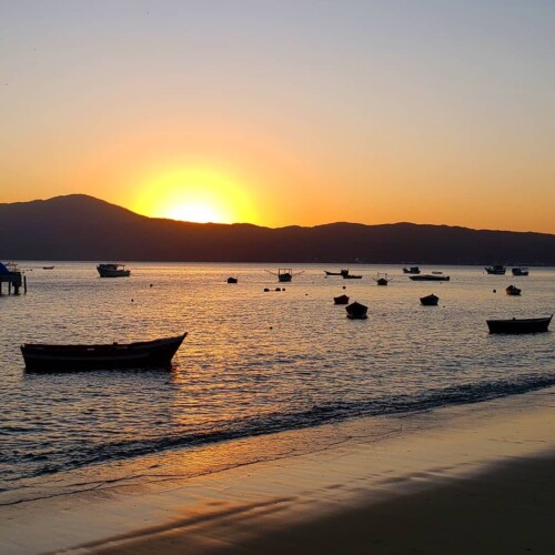 Morro do Macaco: 7 dicas imperdíveis para aproveitar essa atração