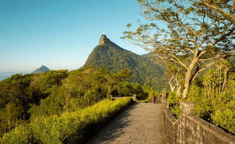Parque Nacional da Tijuca: o que fazer na floresta urbana carioca