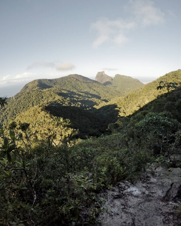 Parque Nacional da Tijuca: o que fazer na floresta urbana carioca