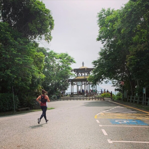 Parque Nacional da Tijuca: o que fazer na floresta urbana carioca