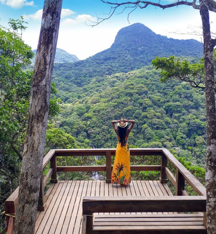 Parque Nacional da Tijuca: o que fazer na floresta urbana carioca