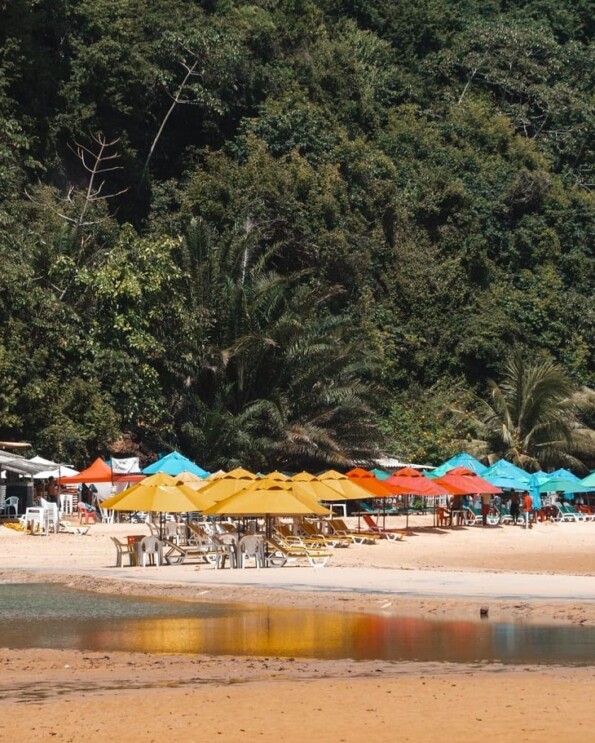 Praia do Madeiro: guia completo desse paraíso no Rio Grande do Norte