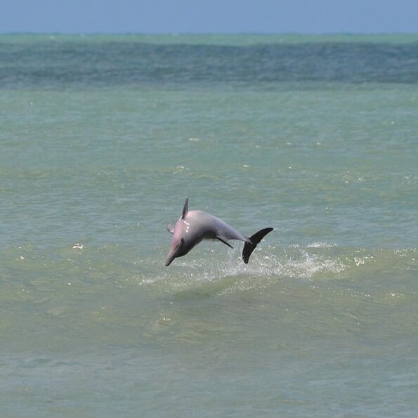 Praia do Madeiro: guia completo desse paraíso no Rio Grande do Norte
