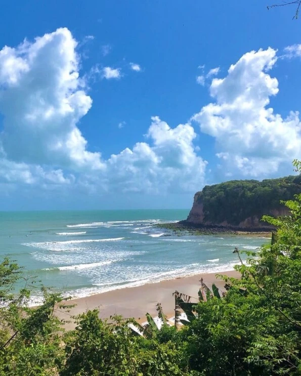 Praia do Madeiro: guia completo desse paraíso no Rio Grande do Norte
