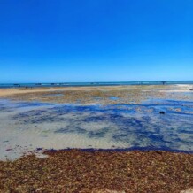 Trairi: o que você precisa saber para curtir esse paraíso no Ceará
