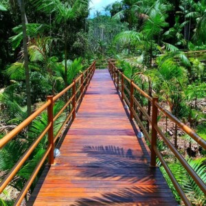 Linhares (ES): um guia inesquecível para curtir a "cidade das águas"