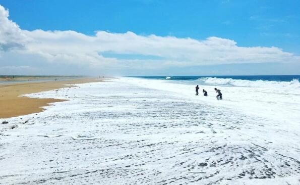 Linhares (ES): um guia inesquecível para curtir a "cidade das águas"