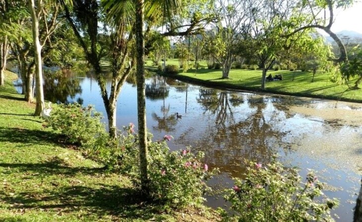 Timbó: descubra 10 atrações imperdíveis nesse destino