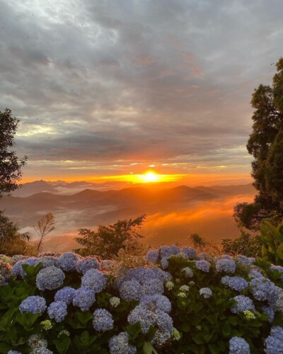 Timbó: descubra 10 atrações imperdíveis nesse destino