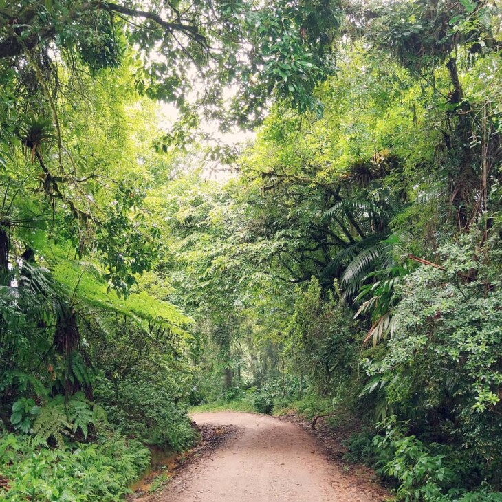Timbó: descubra 10 atrações imperdíveis nesse destino