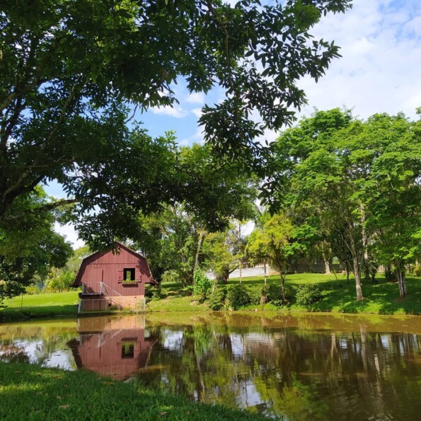 Timbó: descubra 10 atrações imperdíveis nesse destino