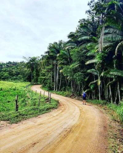 Timbó: descubra 10 atrações imperdíveis nesse destino
