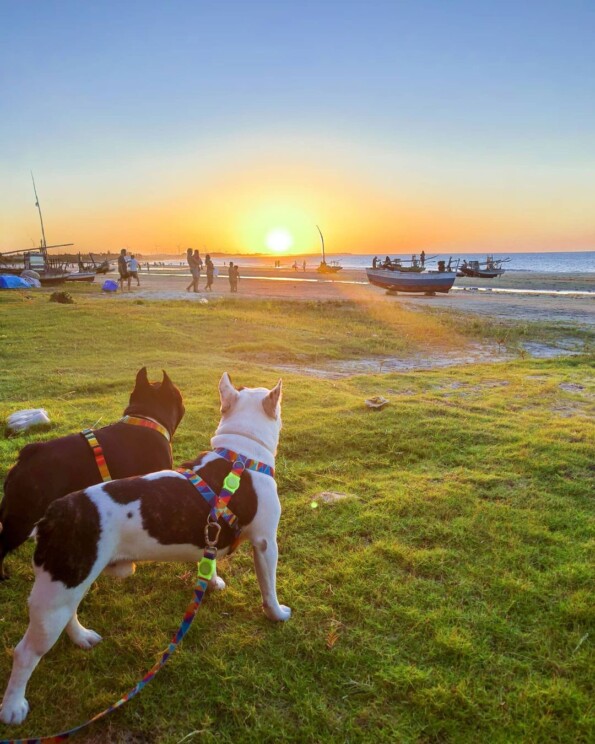 Flecheiras: 10 atrações imperdíveis nesse destino maravilhoso