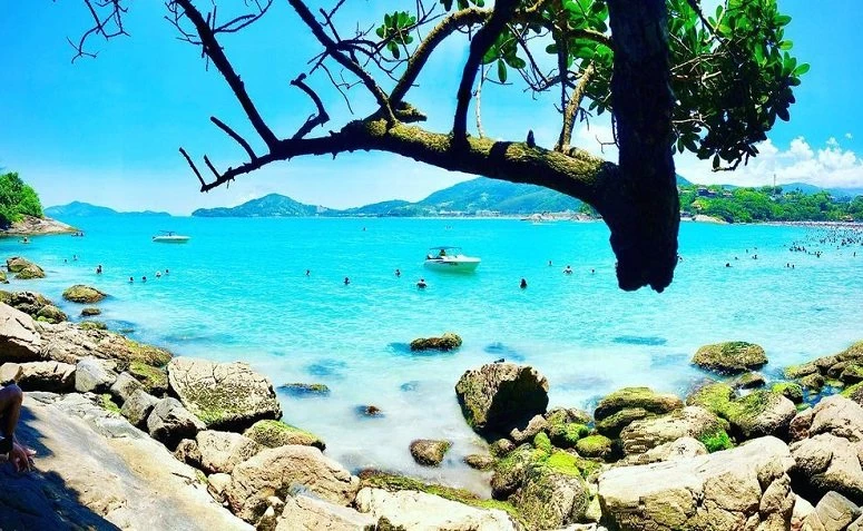 Praia do Tenório: saiba como curtir esse pequeno paraíso em Ubatuba