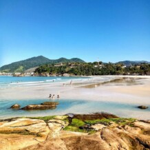 Praia do Tenório: saiba como curtir esse pequeno paraíso em Ubatuba