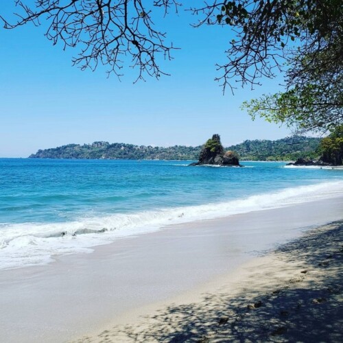 Praia do Tenório: saiba como curtir esse pequeno paraíso em Ubatuba