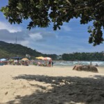 Praia do Tenório: saiba como curtir esse pequeno paraíso em Ubatuba