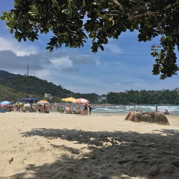Praia do Tenório: saiba como curtir esse pequeno paraíso em Ubatuba