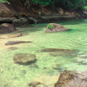 Praia do Tenório: saiba como curtir esse pequeno paraíso em Ubatuba