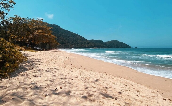 Praia do Tenório: saiba como curtir esse pequeno paraíso em Ubatuba