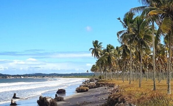 Valença: 10 atrações imperdíveis nesse destino turístico