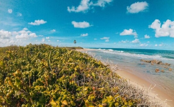Camaçari: onde fica, praias e melhores pontos turísticos
