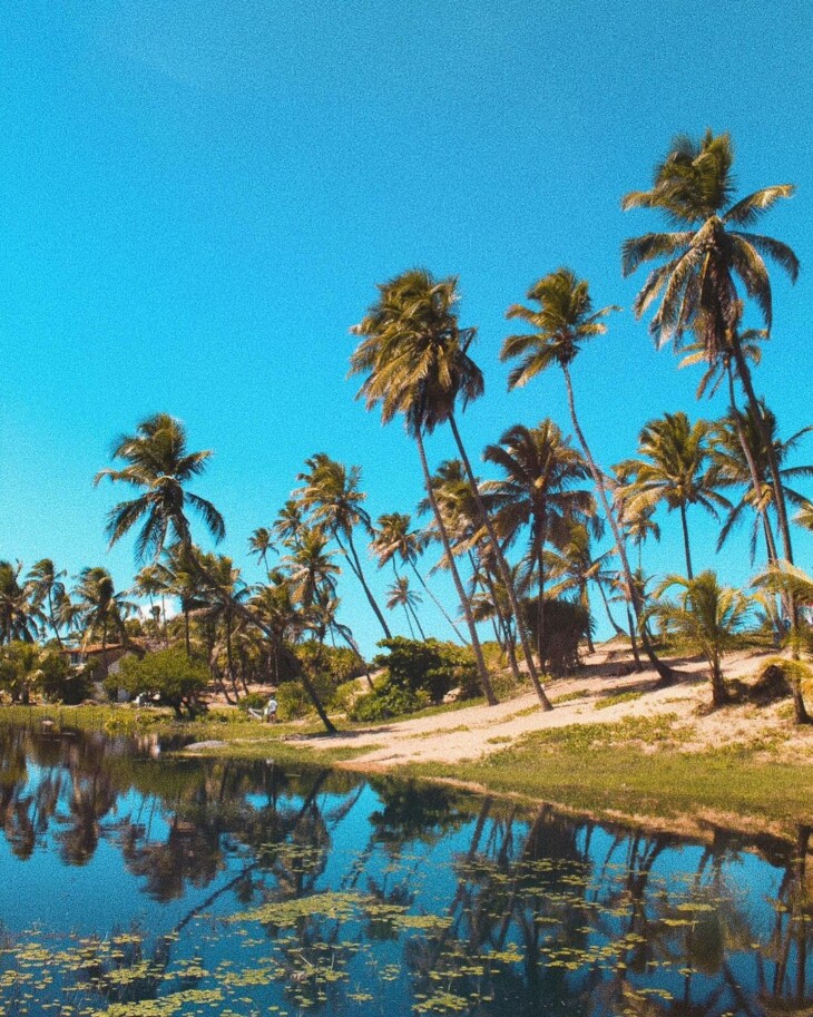 Camaçari: onde fica, praias e melhores pontos turísticos