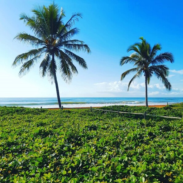 Jacaraípe: onde fica, como chegar, melhores passeios e fotos incríveis