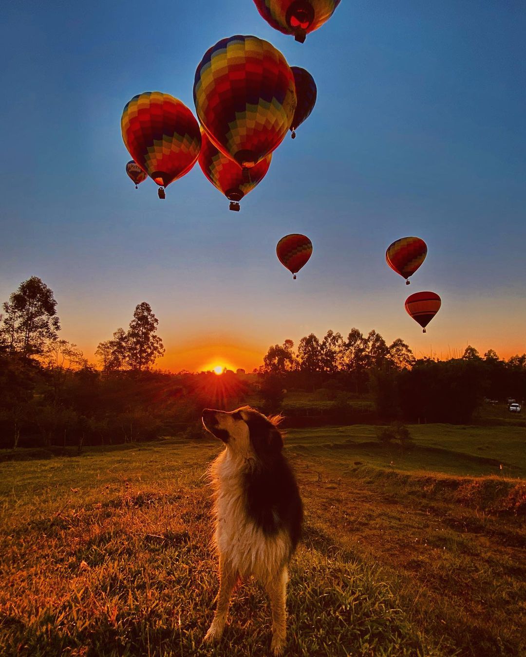 Praia Grande SC: ecoturismo na capital dos cânions e das cachoeiras