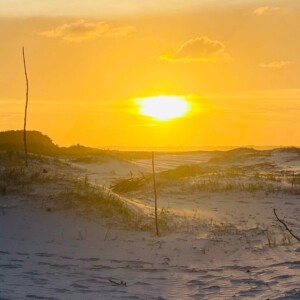 Salinópolis: o que fazer, melhores praias, hospedagem e fotos