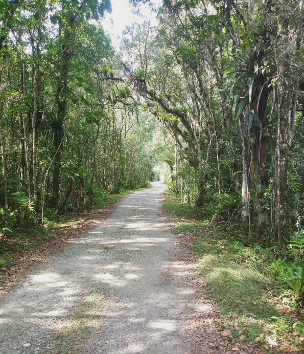 Itapoá: onde fica e 10 pontos turísticos imperdíveis na região