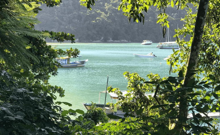 Lopes Mendes: guia completo dessa praia encantadora de Angra dos Reis