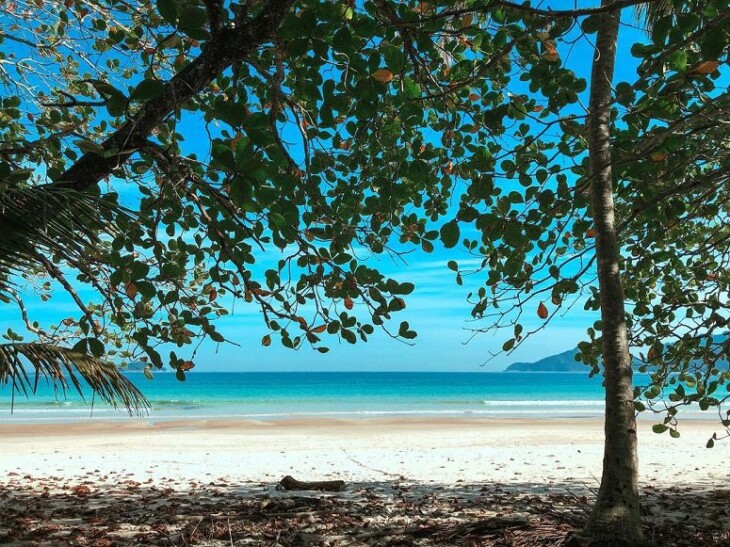 Lopes Mendes: guia completo dessa praia encantadora de Angra dos Reis
