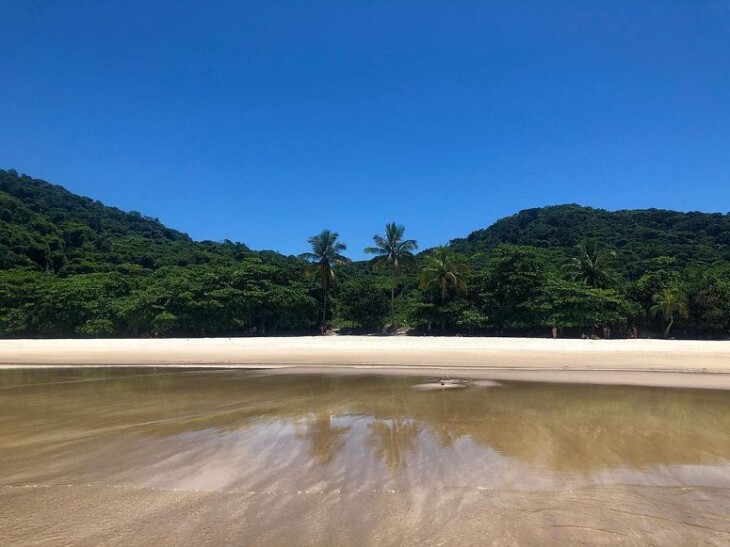 Lopes Mendes: guia completo dessa praia encantadora de Angra dos Reis