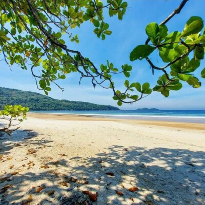 Lopes Mendes: guia completo dessa praia encantadora de Angra dos Reis