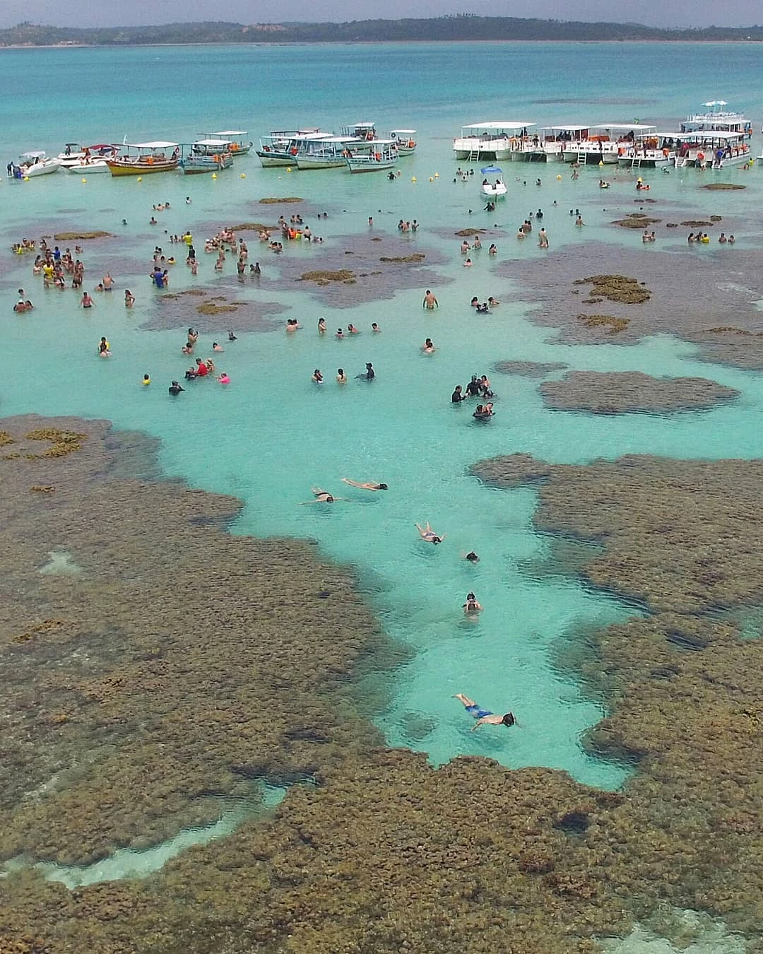 Piscinas naturais de Maragogi: dicas, fotos e melhor época para visitar