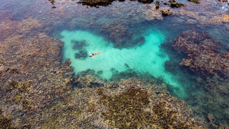 Piscinas naturais de Maragogi: dicas, fotos e melhor época para visitar