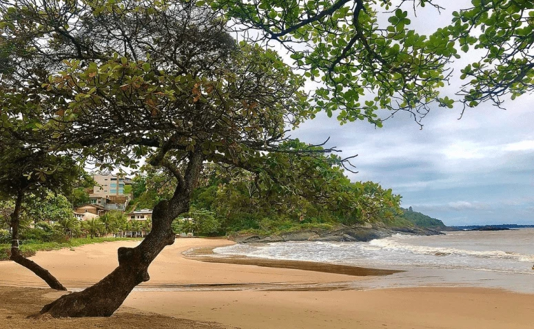 Iriri: onde fica, o que fazer, praias, dicas de hospedagem e restaurantes