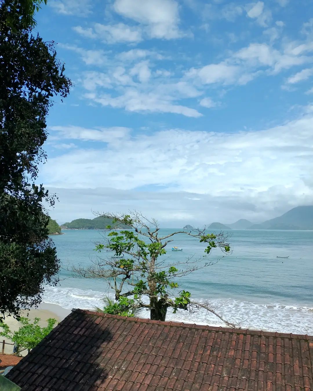 Praia do Engenho: 5 dicas para aproveitar o melhor da sua viagem