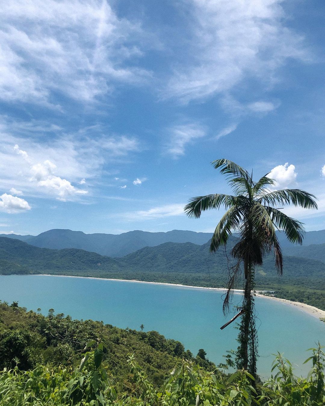 Praia do Engenho: 5 dicas para aproveitar o melhor da sua viagem