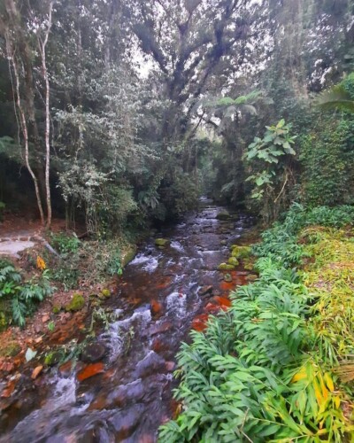 Tapiraí: 5 lugares para conhecer esse destino rico em natureza