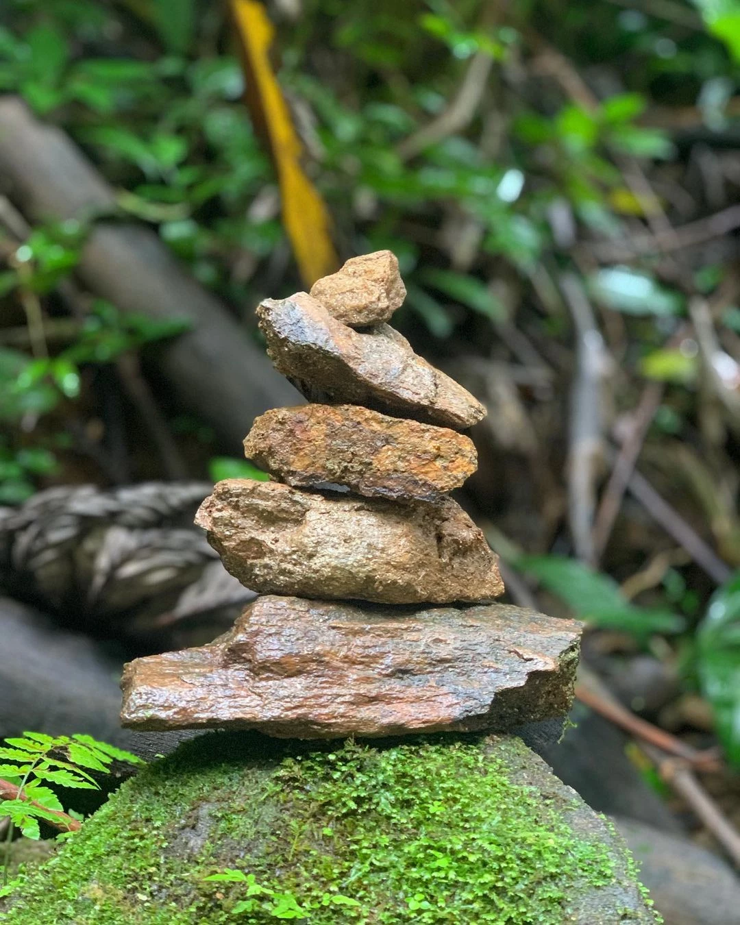 Tapiraí: 5 lugares para conhecer esse destino rico em natureza