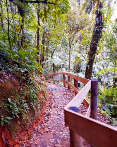 Tapiraí: 5 lugares para conhecer esse destino rico em natureza